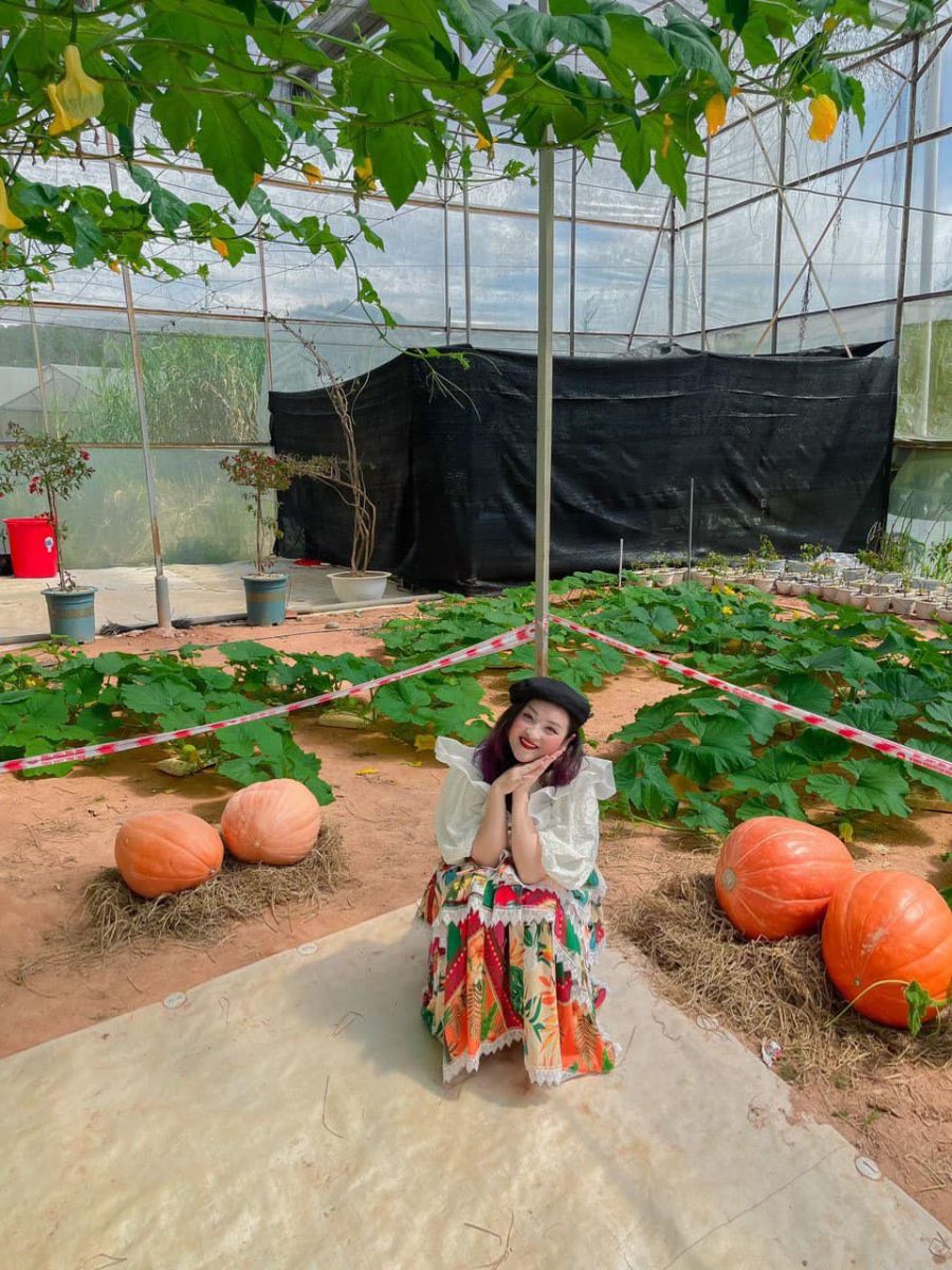 Nông trại cún Puppy Farm: Xứ sở cho người yêu cún ở Đà Lạt